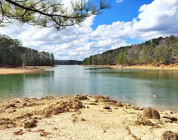 Sandy shores meet calm waters, creating the perfect spot for building castles or just contemplating existence.