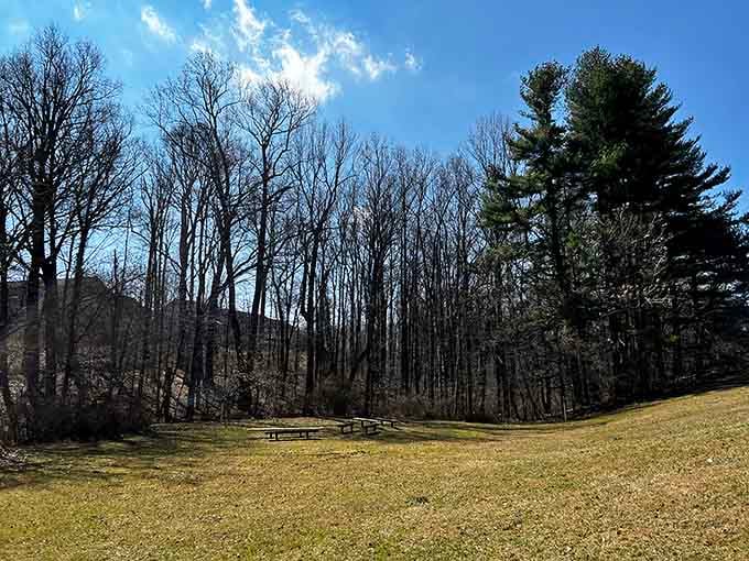 Wooded trails where nature therapy costs nothing but a little effort and maybe some bug spray.