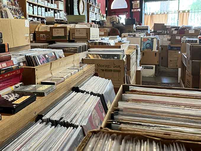 Storage boxes overflow with possibilities, each one a potential treasure chest waiting for the right digger to explore.