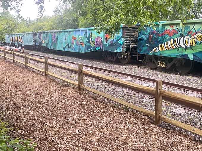 Wooden guardrails guide your journey past vibrant murals celebrating Cape May's natural beauty and artistic spirit.