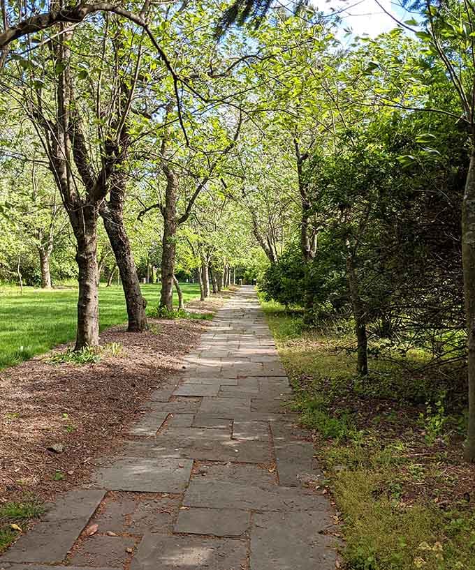 Stroll along this peaceful stone pathway, where lush green trees and soft sunlight create the perfect setting for a relaxing day.