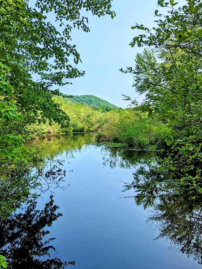The still water mirrors the sky perfectly, creating a scene so peaceful it could lower your blood pressure instantly.