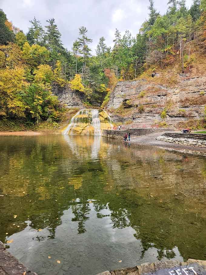 Autumn paints the gorge in colors so vibrant, you'll wonder if someone snuck in overnight with a giant paintbrush and excellent taste.