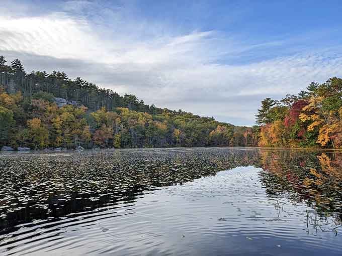 Autumn showing off like it's auditioning for a New England tourism poster, and absolutely nailing it.