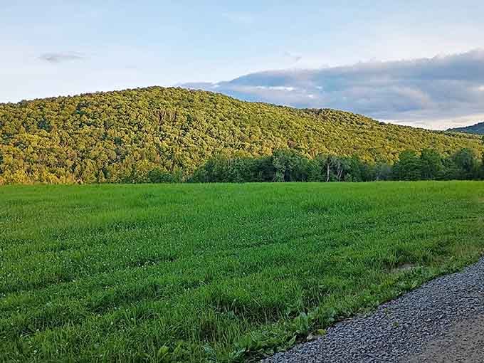 Rolling hills that make you understand why people wrote songs about purple mountains' majesty and amber waves of grain.