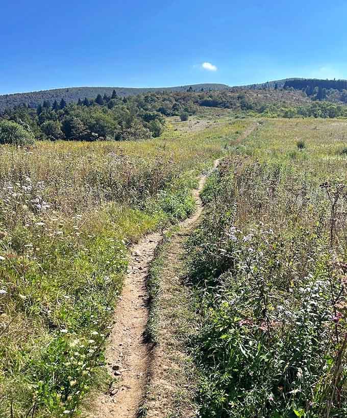 Dramatic skies at golden hour turn an already beautiful hike into something that belongs on a postcard.