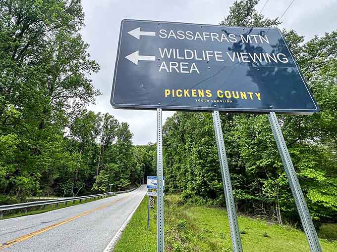 This sign marks the turnoff where your everyday drive becomes something worth remembering and sharing.