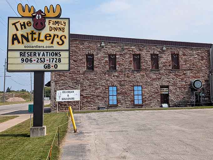 That moose knows what's up: good food served in portions that respect your appetite and your wallet equally.