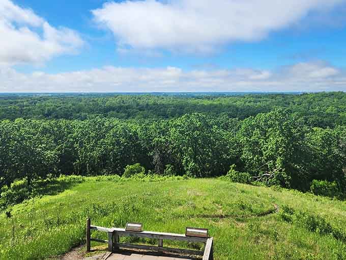 That bench overlooking endless green forest is basically an invitation to sit and contemplate absolutely nothing for a while.
