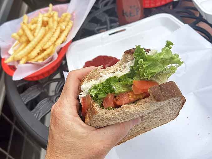Fresh lettuce and tomato on a sandwich that looks like lunch done right, no frills necessary for satisfaction.