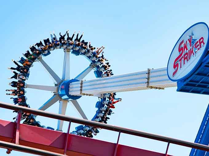 Suspended in mid-swing, defying gravity and common sense in equal measure, living your best adrenaline-fueled life right now.