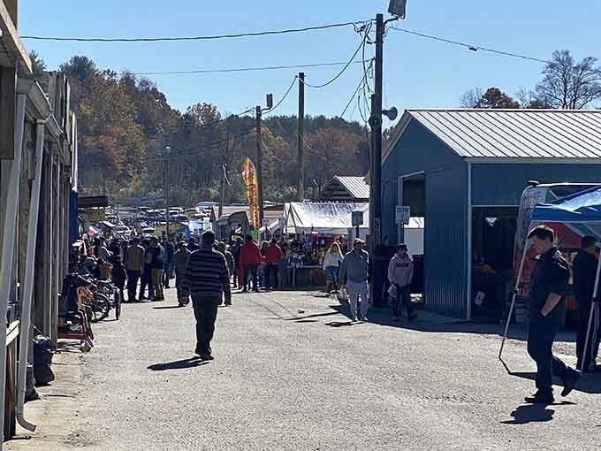 Mountain views frame the marketplace where deals flow like sweet tea at a summer picnic reunion.