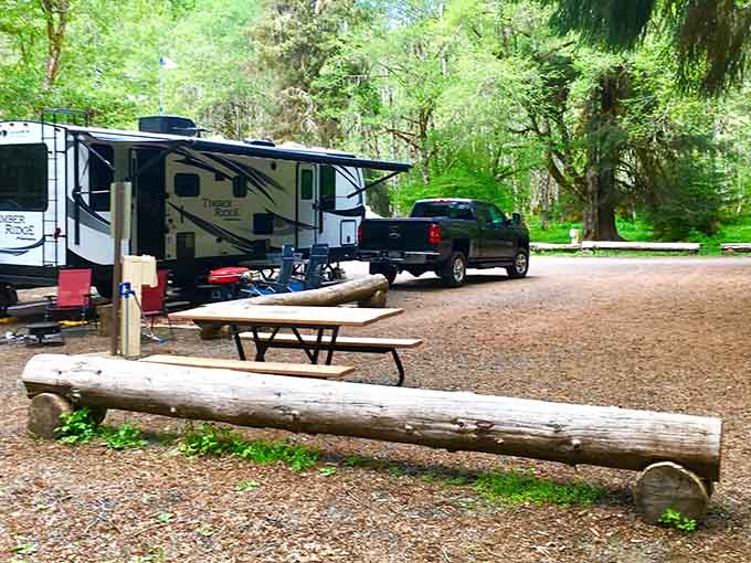RV sites nestled in the forest let you camp in style with hot springs access just steps away.
