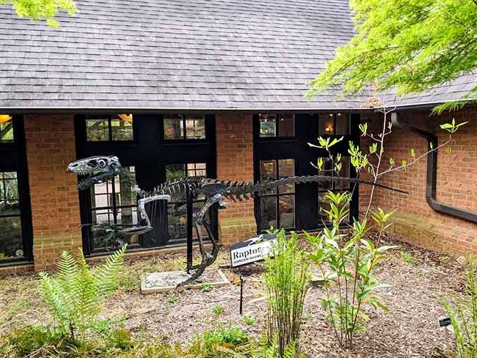 Meet the raptor skeleton, proof that the geology museum takes "old bones" very seriously indeed.