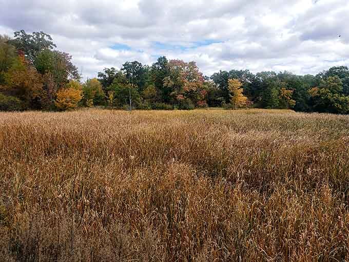 The tracks cut through farmland that looks exactly like the America you remember from childhood road trips and old photographs.