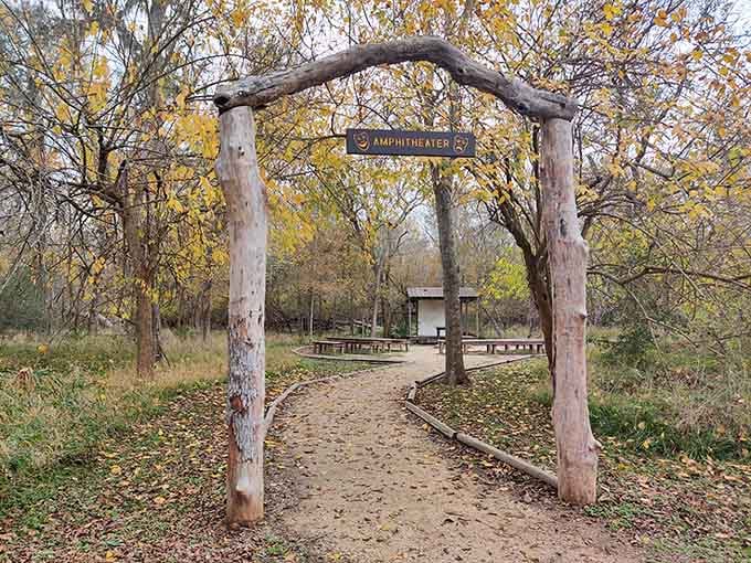 This rustic amphitheater hosts programs under the trees, where nature provides better acoustics than any concert hall could.