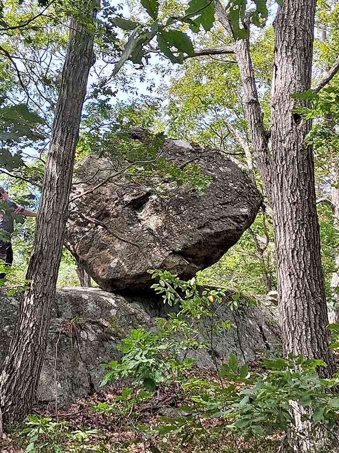 This gravity-defying balanced rock has been sitting here for millennia, showing more stability than most people's retirement plans.