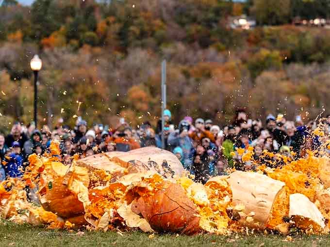 The pumpkin drop creates a spectacular explosion that's oddly satisfying to witness in person every single time.