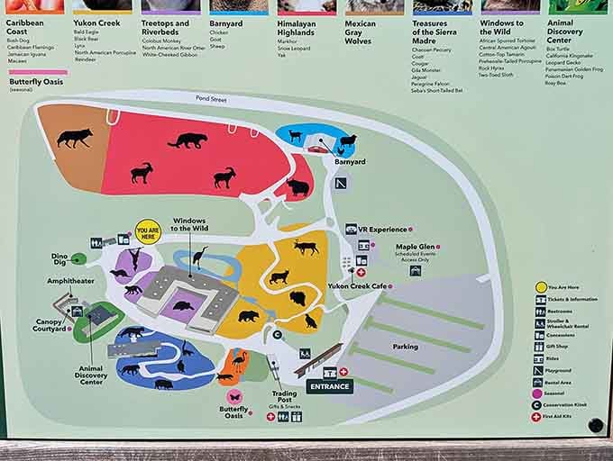 The colorful zoo map guides you through habitats spanning continents, all within one beautifully compact hillside location.