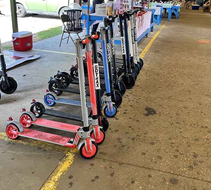 These sleek scooters line up like a modern cavalry, ready to transform someone's commute into pure wheeled freedom.
