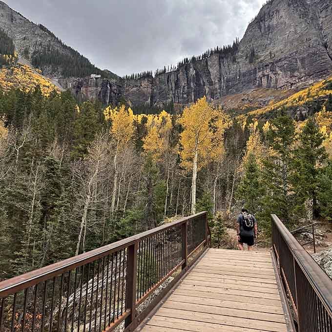 Wooden bridges cross streams on Bridal Veil Trail, leading hikers deeper into Colorado's greatest hits.