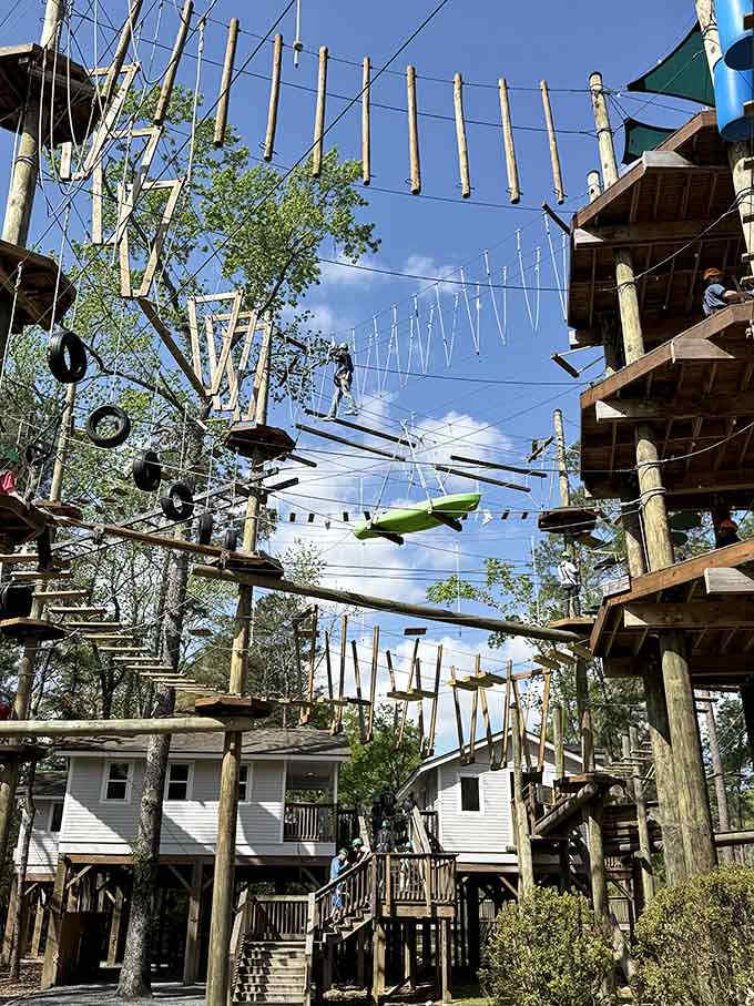 Looking up reveals the magnificent complexity of the courses, where every platform offers a new challenge to master.