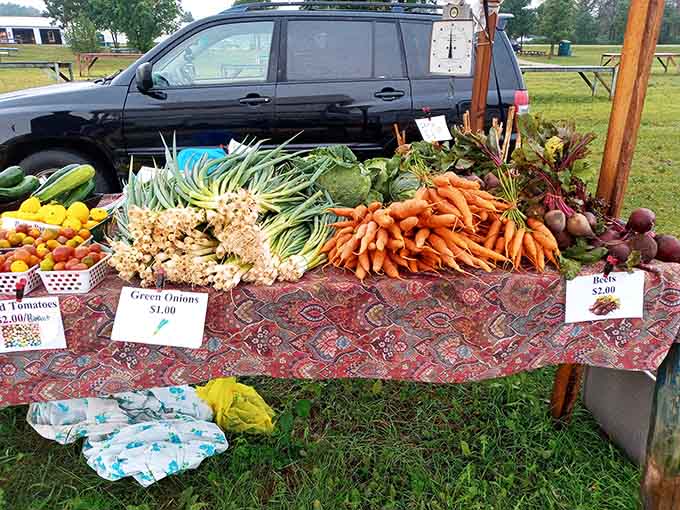 Farm-fresh vegetables displayed with more pride than most grocery stores show their imported produce, and rightfully so.