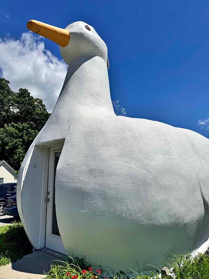 That magnificent orange bill points skyward like a beacon, guiding travelers to one of New York's quirkiest destinations.