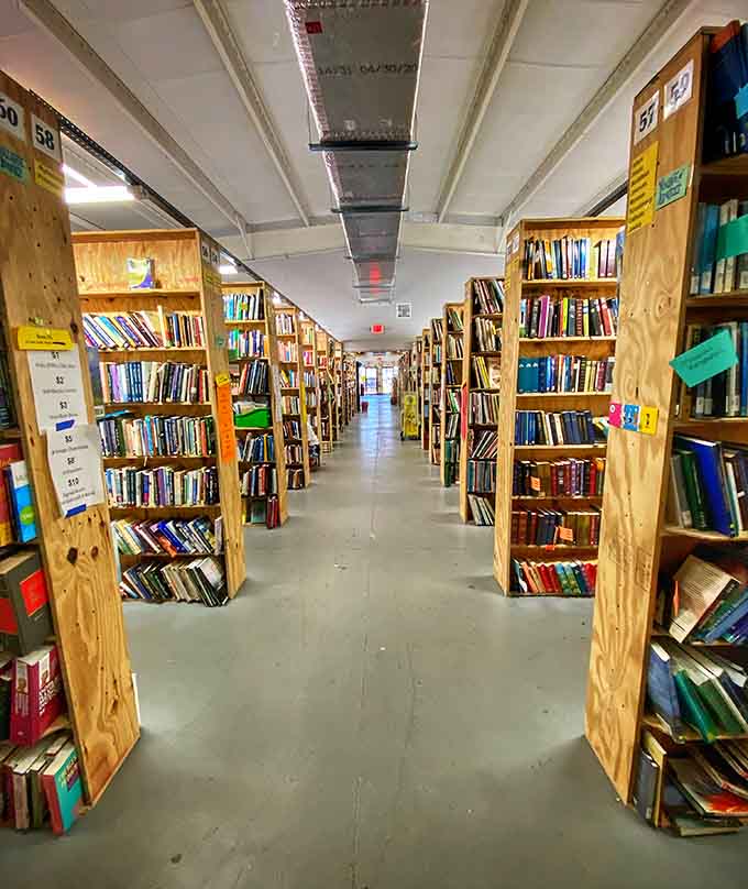 Floor-to-ceiling shelves packed tighter than a snowbird's winter schedule, each spine hiding potential magic between its covers.
