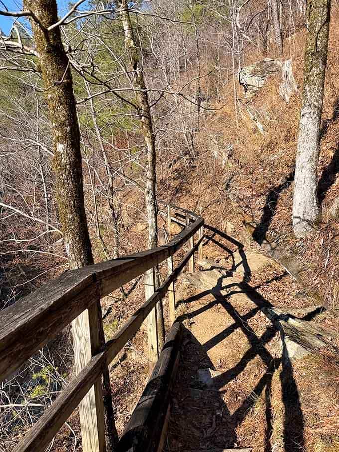 These weathered wooden steps descend into the forest like something from an Indiana Jones movie, minus the booby traps.