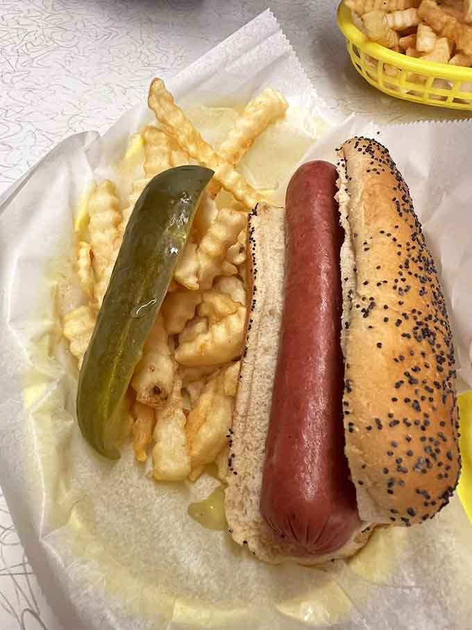 A jumbo grass-fed hot dog nestled in a poppy seed bun, flanked by pickle and fries like loyal companions.