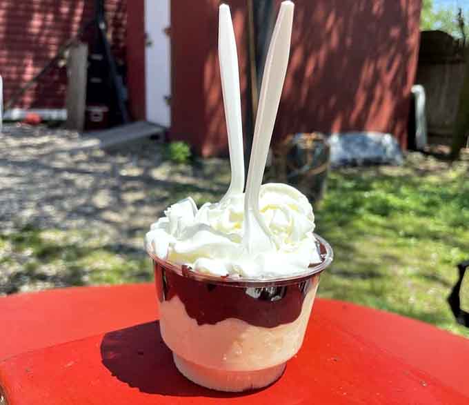 A hot fudge sundae that understands the assignment: be cold, be sweet, be absolutely worth the inevitable brain freeze.
