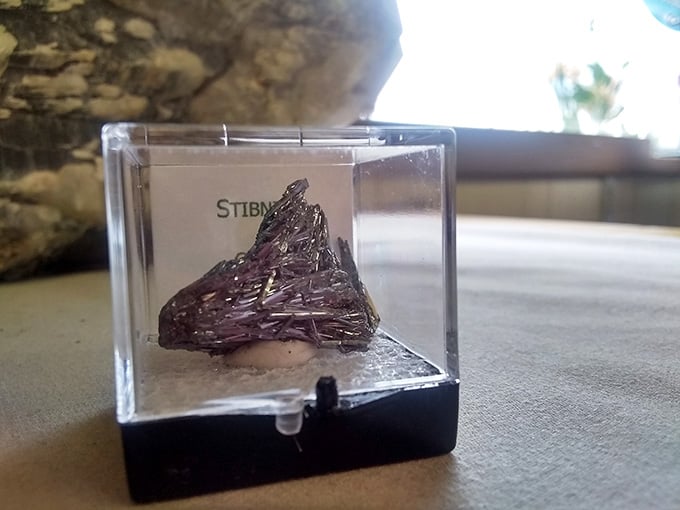 Stibnite in its protective case looks like metallic art, nature's answer to modern sculpture without trying.