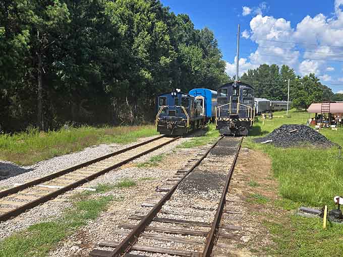Multiple tracks mean multiple possibilities for exploring South Carolina's railroad heritage in authentic rolling stock.