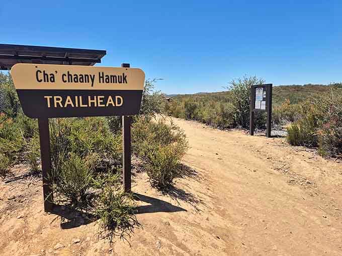 The Cha'chaany Hamuk Trailhead marking your starting point, where adventure begins and parking spot regrets are temporarily forgotten.