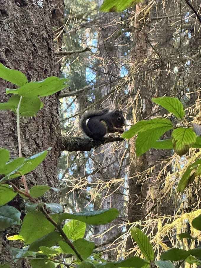 This little guy's got the right idea: stop, enjoy a snack, and appreciate where you are right now.