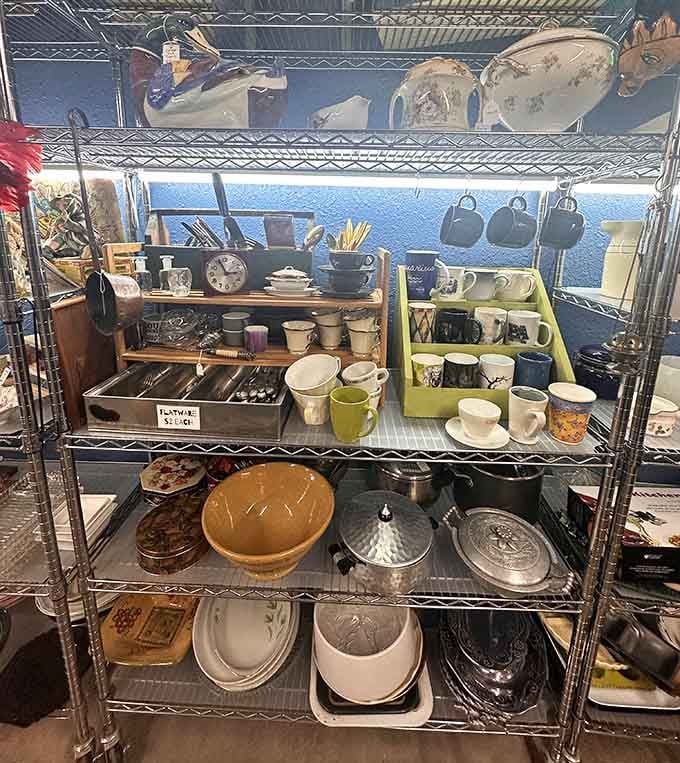 Kitchen essentials and household treasures fill shelves with colorful possibilities for upgrading your home without breaking the bank.