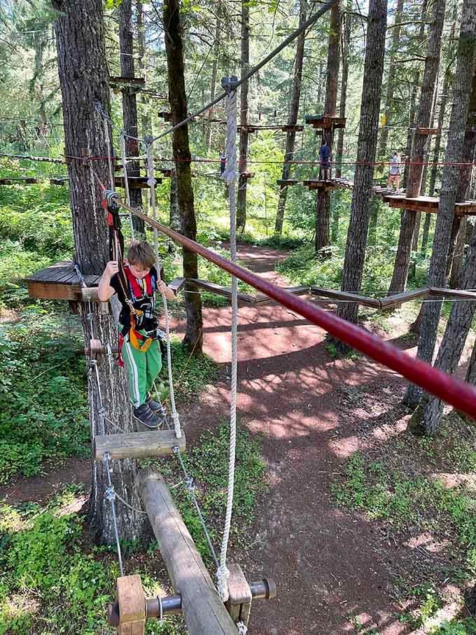Young climbers navigate the course with fearless enthusiasm, proving that kids are basically part monkey when given the opportunity.