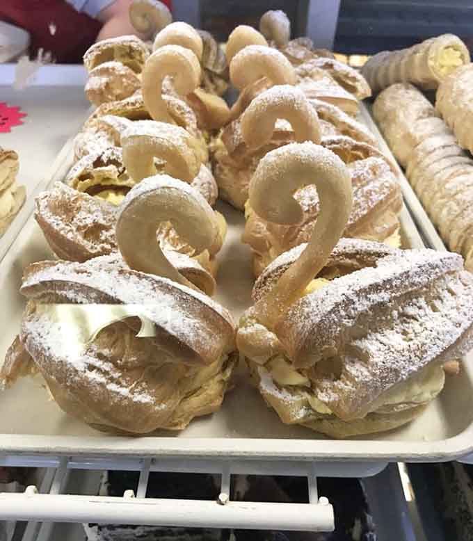 Cream puff swans gracefully waiting to make your next celebration look absolutely Instagram-worthy and elegant.