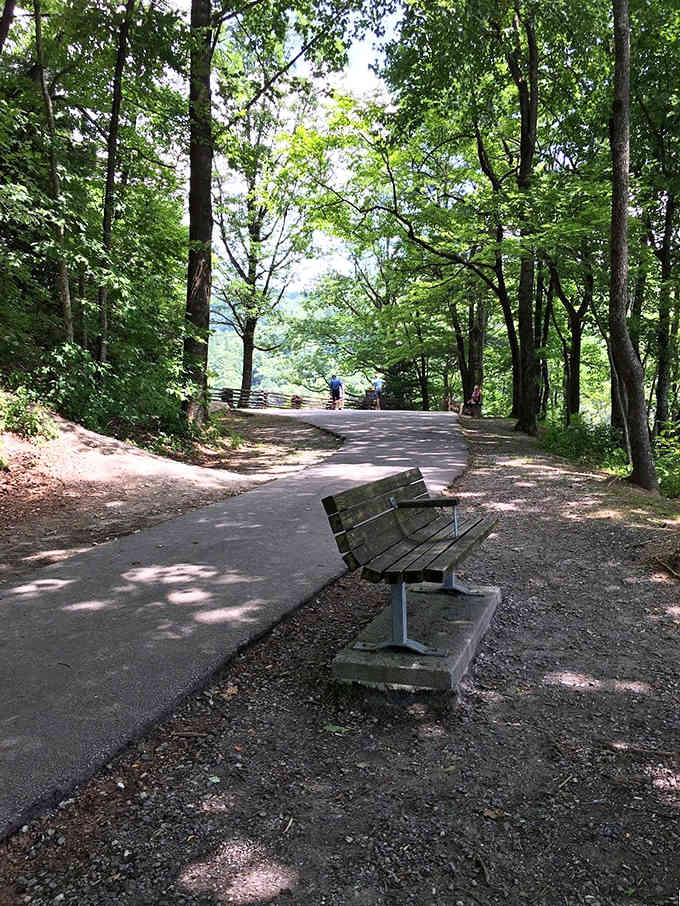 Strategic benches along the trail let you catch your breath while pretending you're just admiring the forest canopy.