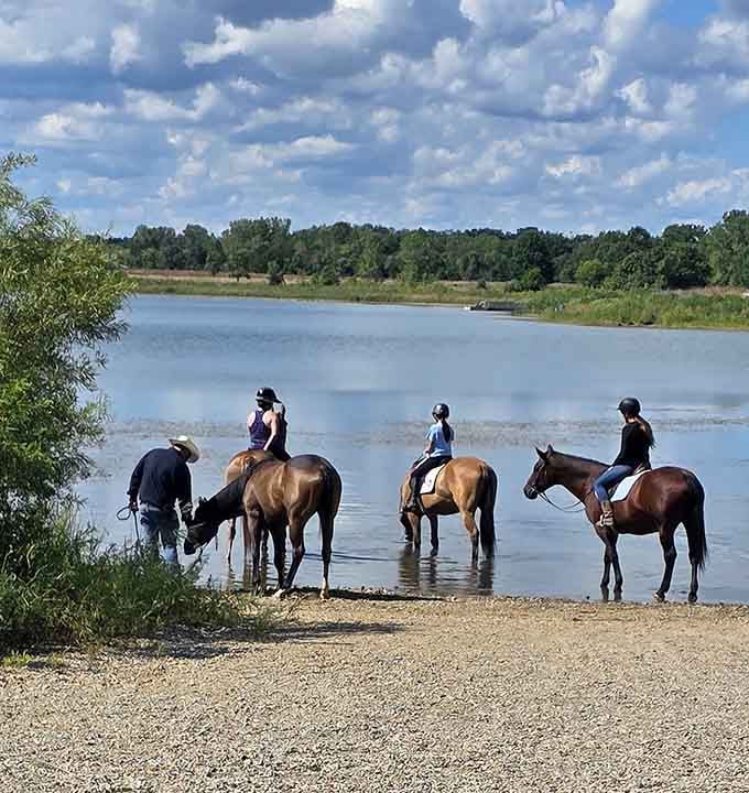 Even the horses know they've found paradise, and they're notoriously picky about these things.