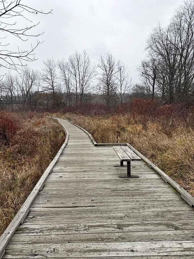 Sometimes the best hiking companion is a simple bench where you can sit and contemplate existence.