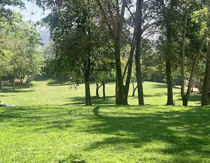 Rolling green lawns invite picnics, frisbee games, and the kind of lazy afternoons we all desperately need.