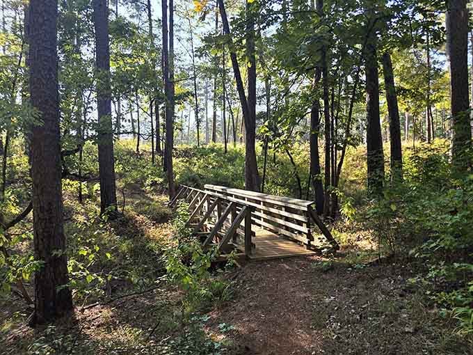 Cross this charming bridge and you'll understand why every good trail needs a moment of architectural punctuation.