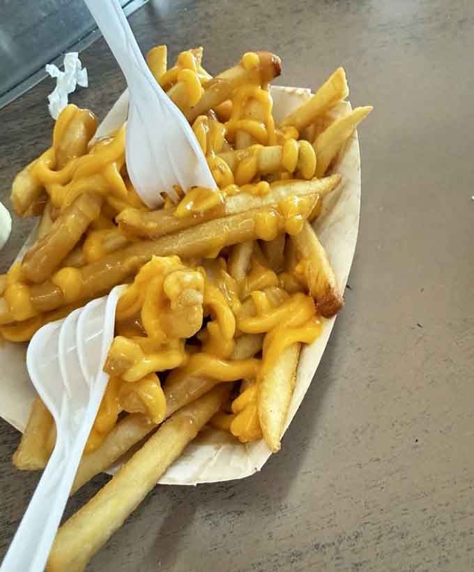 Cheese fries loaded with enough melted goodness to make your cardiologist schedule an intervention, worth every bite.