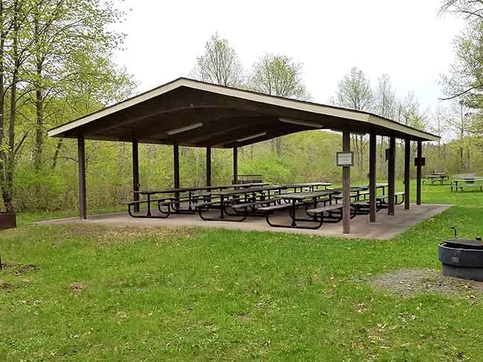Covered picnic areas where your potato salad stays safe from opportunistic birds and unexpected weather.