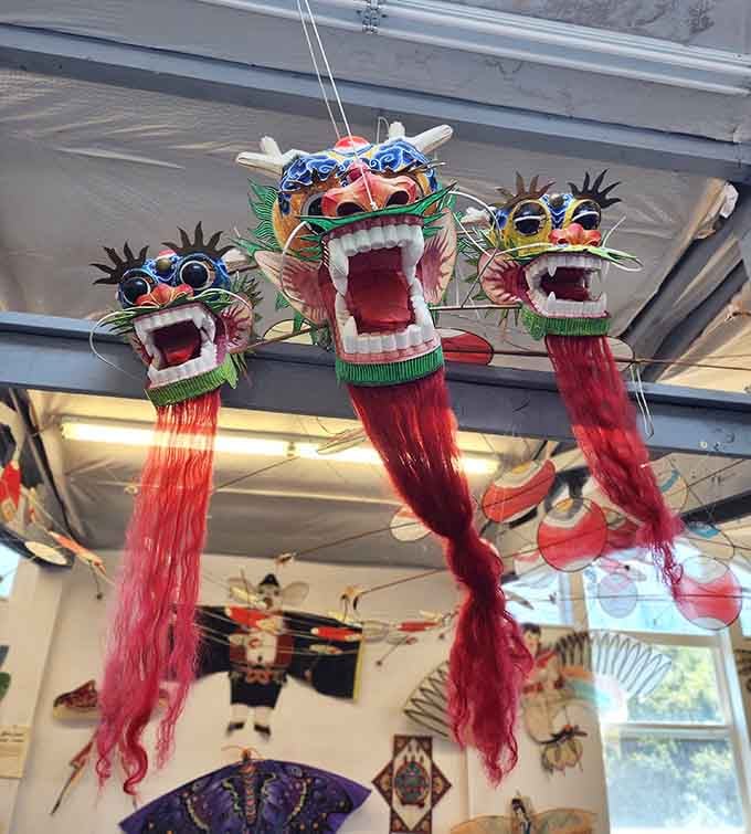 Chinese dragon kites with flowing tails and fierce faces bring mythological creatures down from the clouds for inspection.