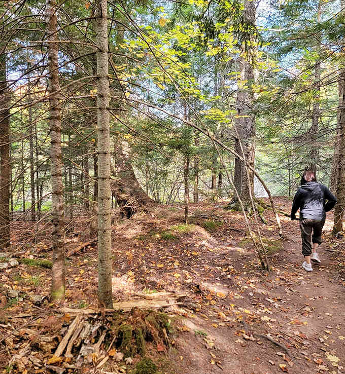 The trail through the forest whispers promises of natural wonders just ahead, and it's not lying for once.