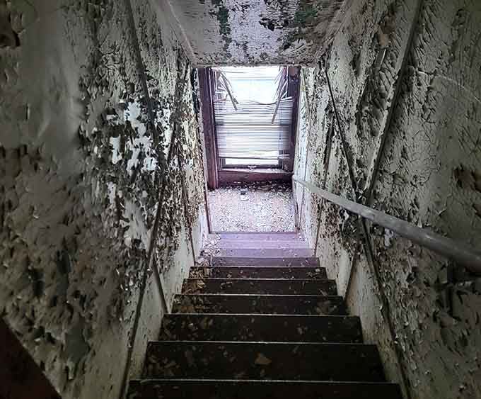 Climbing these stairs requires either bravery or foolishness, and honestly, it's hard to tell which one you've got.