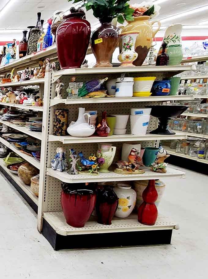 Decorative vases and pottery creating a rainbow of home decor possibilities without the designer price tags.